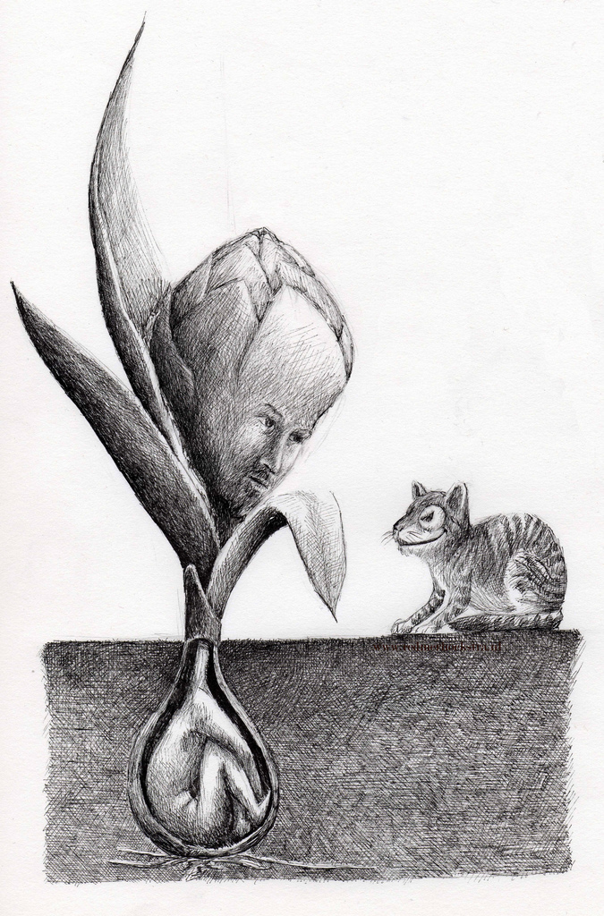 Redmer Hoekstra | Escape Into Life Redmer Hoekstra | Escape Into Life