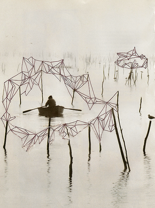 Nicolette Polek | Escape Into Life