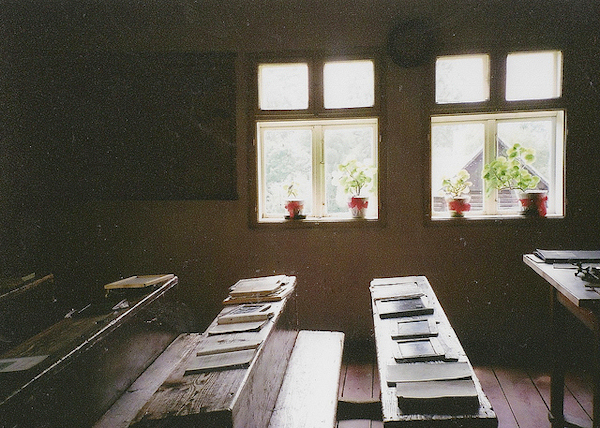 Nicolette Polek | Escape Into Life