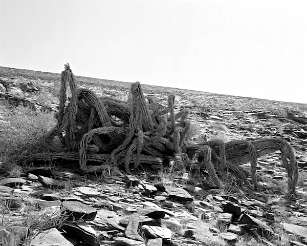 Geert Goiris | Escape Into Life